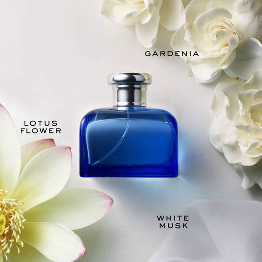 Ralph Lauren Blue Fragrance Collection | Ralph Lauren Fragrances
