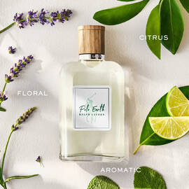 Polo Earth Fragrances for Men | Ralph Lauren Fragrances