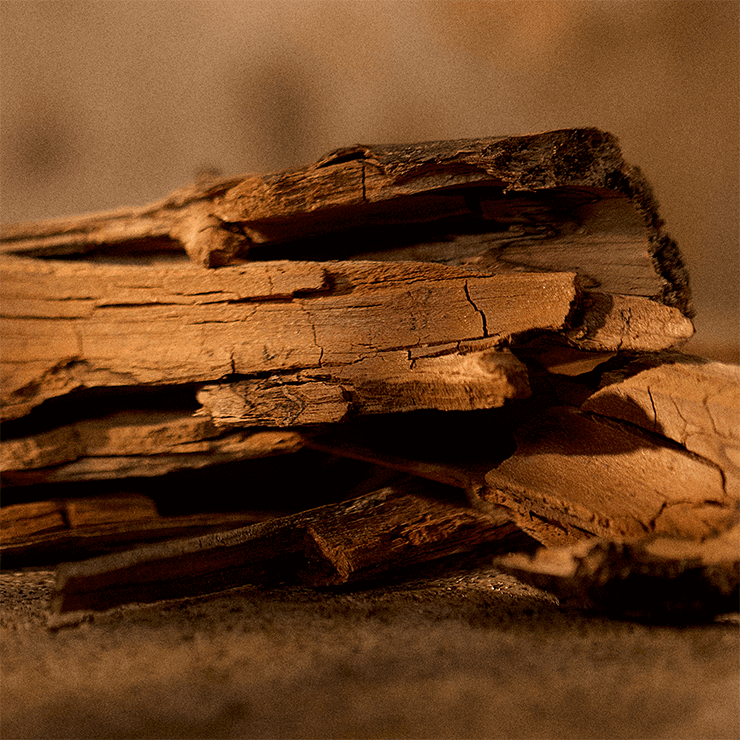 Polo Earth Austral Sandalwood EDP| Ralph Lauren Fragrances